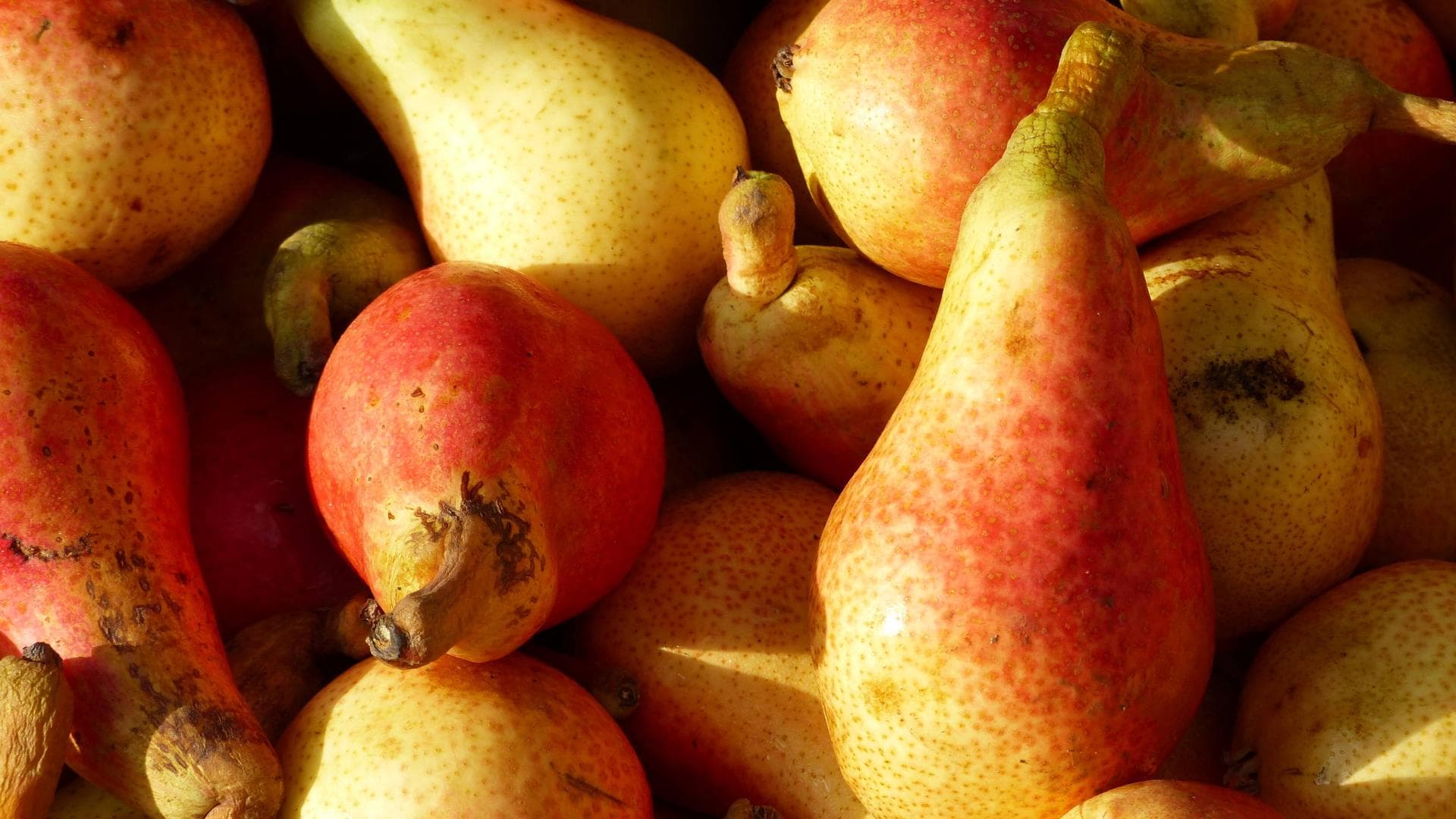 Birnen: Das passiert mit deinem Körper, wenn du regelmäßig eine isst