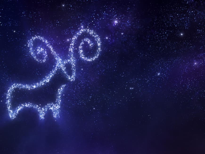 Widder Eigenschaften: Das sind die typischen Charakterzüge