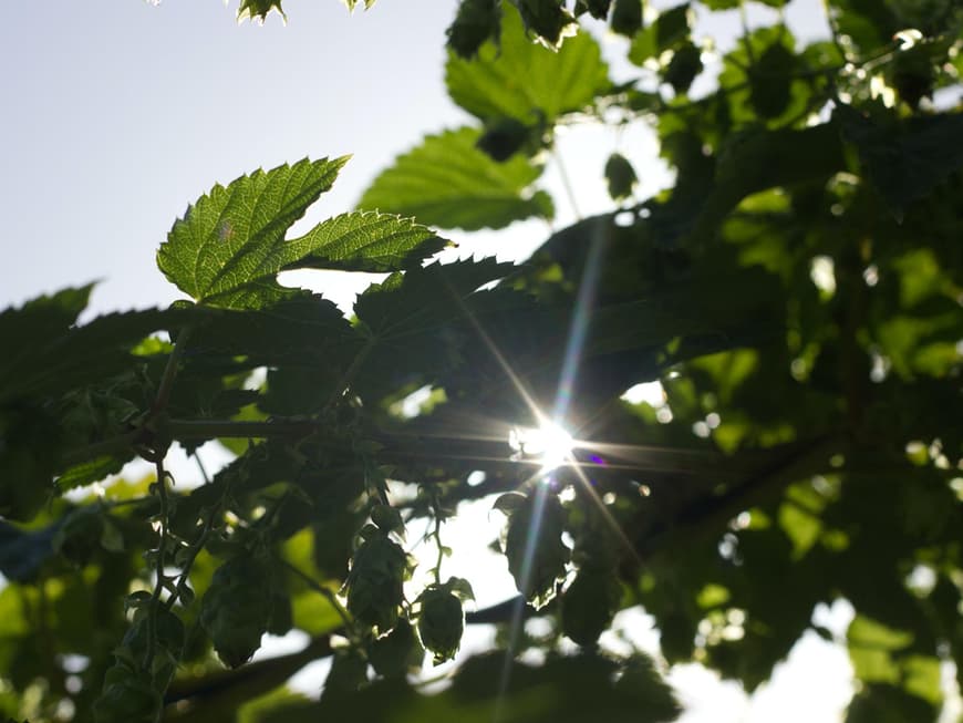 Alles über Nachhaltigkeit